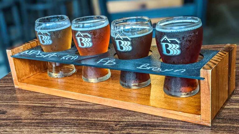 What is a Flight of Beer? (Beginner's Guide to Beer Flights)